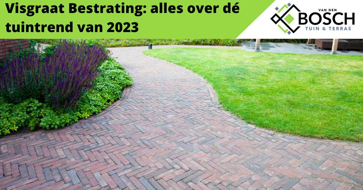 Visgraat Bestrating: alles over dé tuintrend van 2024