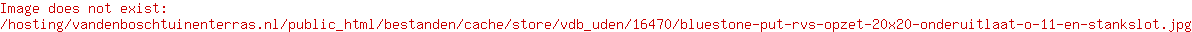 BlueStone put RVS opzet 20x20 + onderuitlaat Ø 11 en stankslot - Van ...